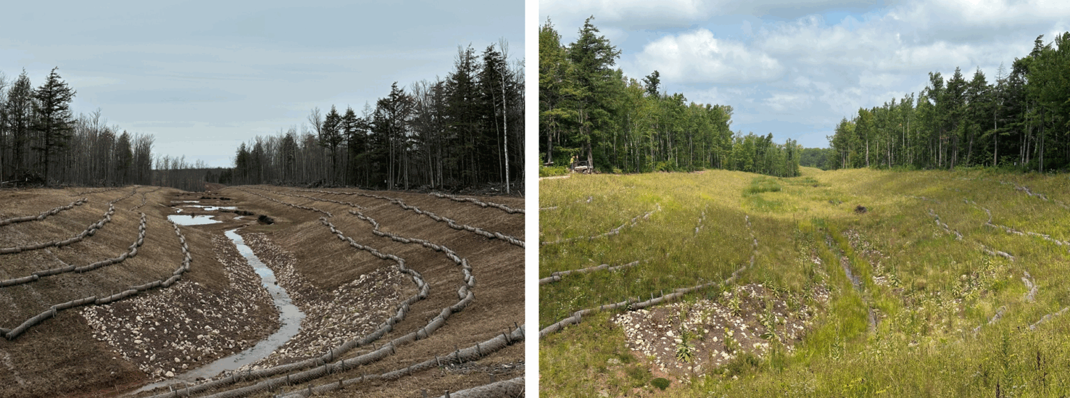 Highland Copper Completes Environmental Mitigation Program ...